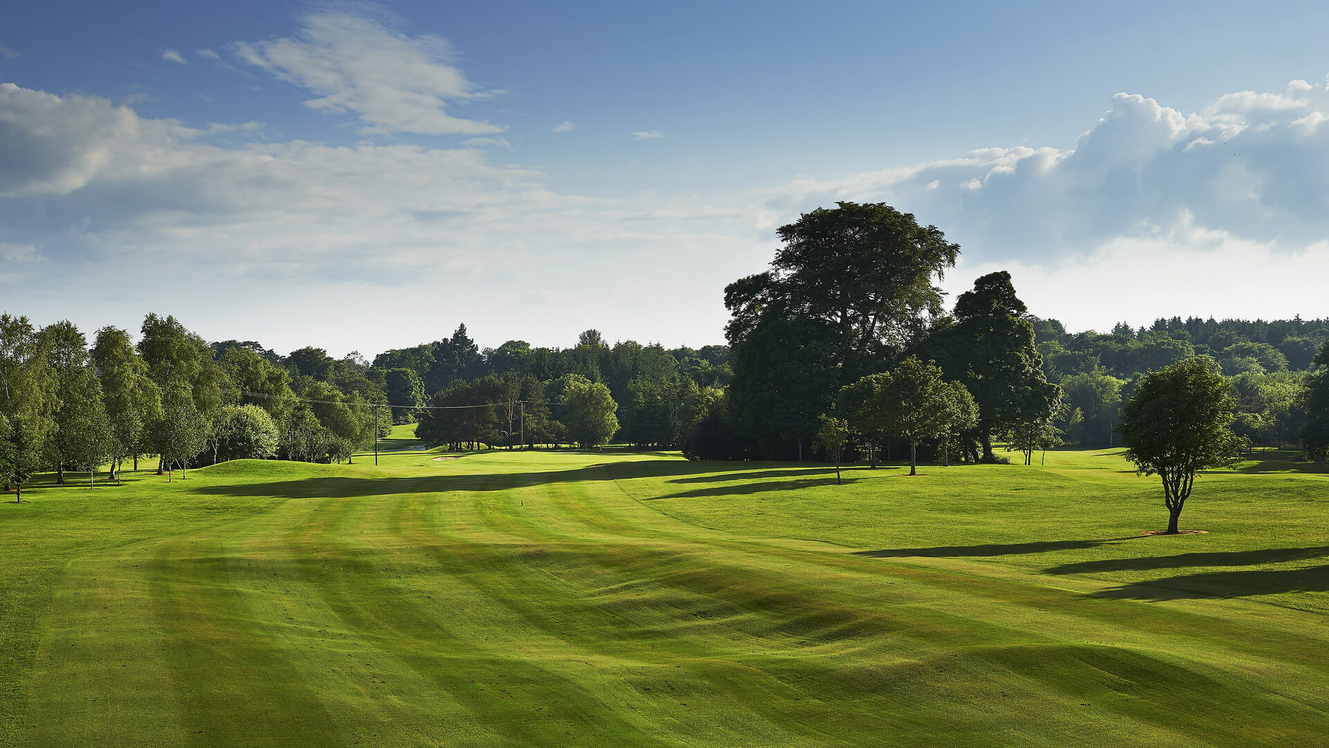Golf Photo Gallery | Ballymascanlon Hotel & Golf Resort