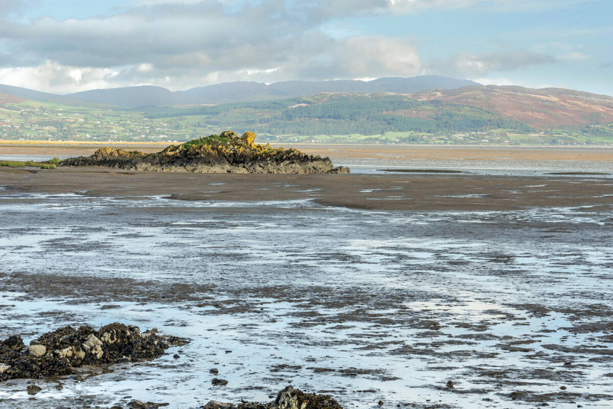 Explore Louth | What To Do In Louth | Ballymascanlon Hotel