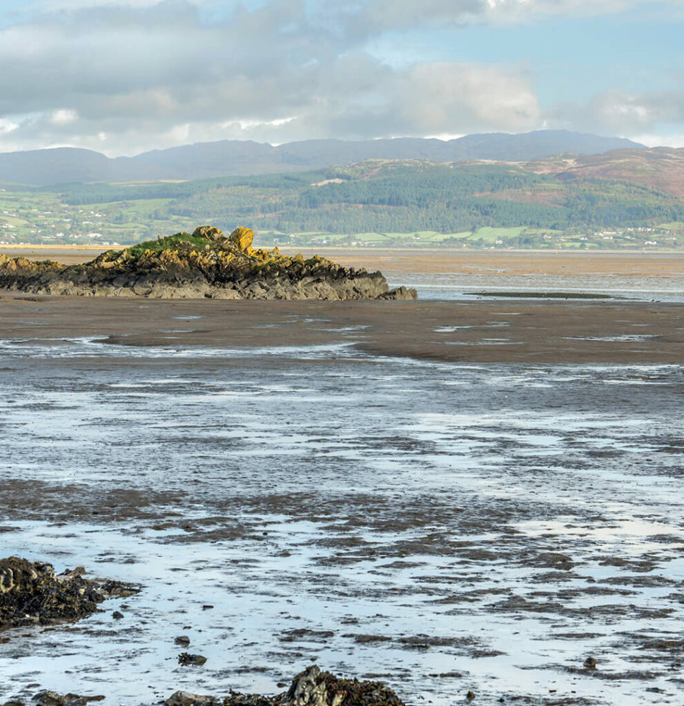 Explore Louth | What To Do In Louth | Ballymascanlon Hotel