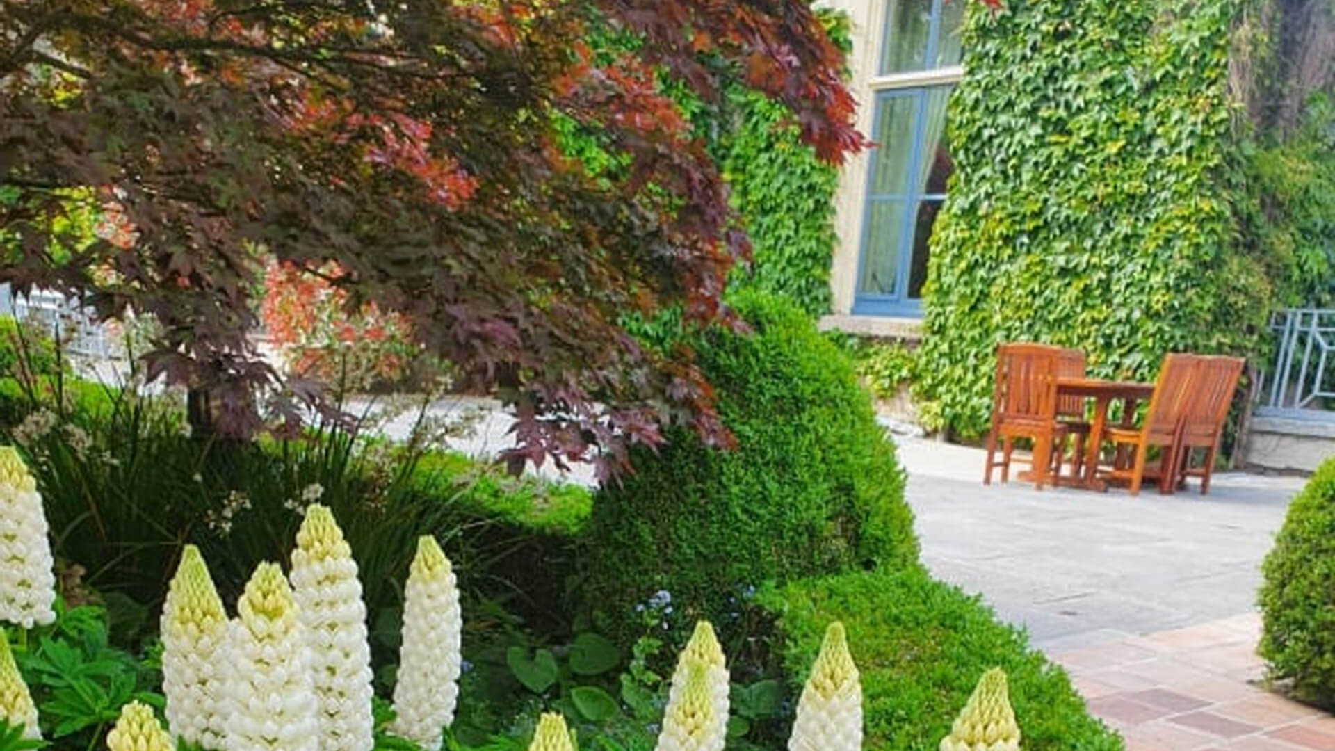 Autumn Breaks Ireland | Ballymascanlon Hotel