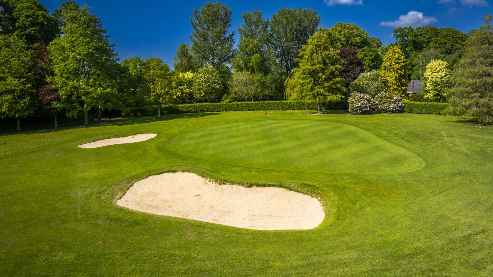 Book a Tee Time | Ballymascanlon Hotel & Golf Courses