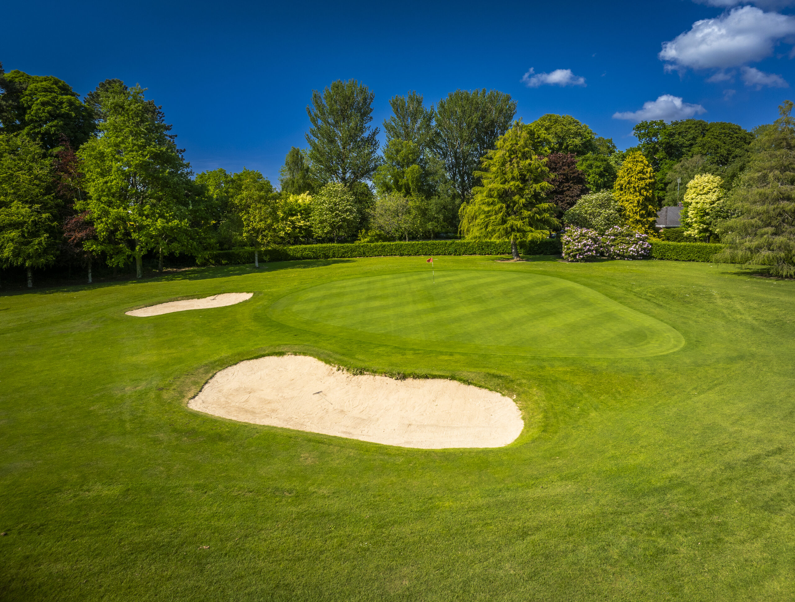 Book a Tee Time | Ballymascanlon Hotel & Golf Courses