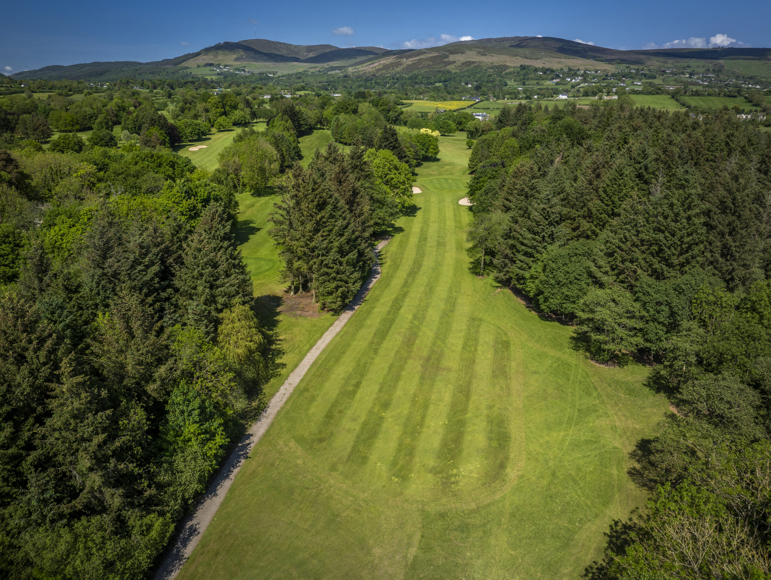 Book a Tee Time | Ballymascanlon Hotel & Golf Courses